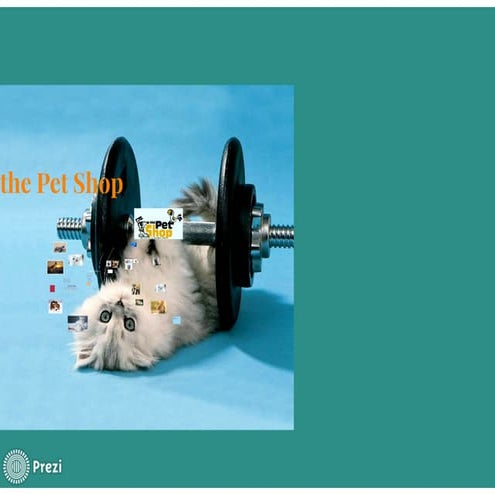 the Pet Shop | PDF