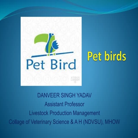 pet-birds.and their different classification pdf | PDF