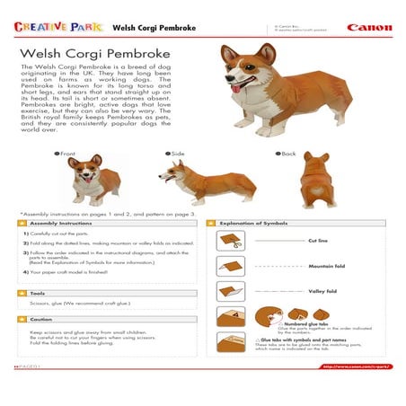Pet corgi e-a4 | PDF
