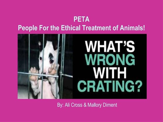 SOCIAL CAUSE, ANIMAL SHELTER, HELPING HOMELESS PEOPLE, NGO | PPTX | Non ...