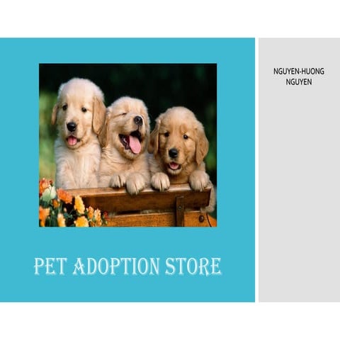 Pet adoption store 1 | PPT