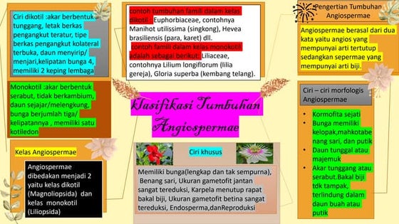 Budidaya tanaman talas | DOCX