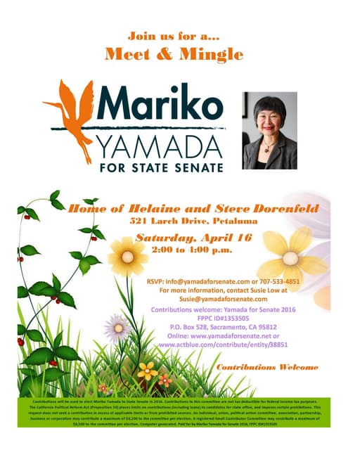 Flyer - State Senate Campaign | PDF
