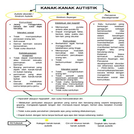 Instrumen observasi anak autism