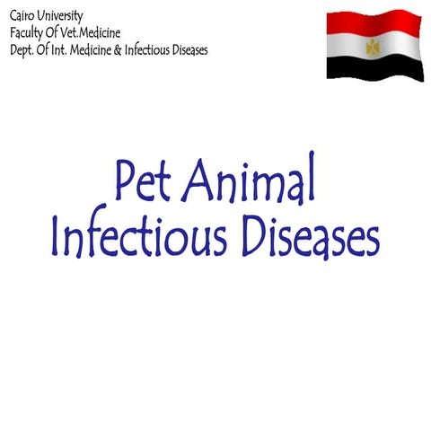 Pet animals .. | PPT