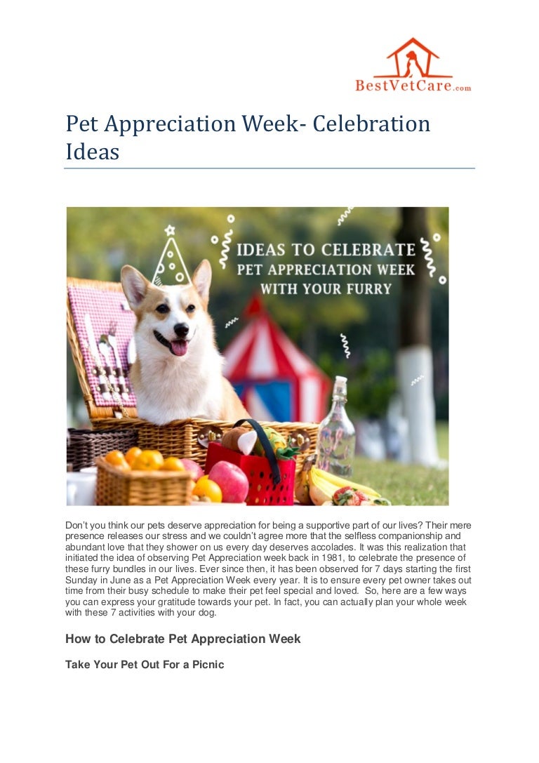 pet-appreciation-week-celebration-ideas