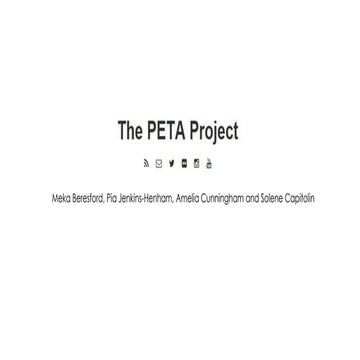 Peta project '14 | PPTX
