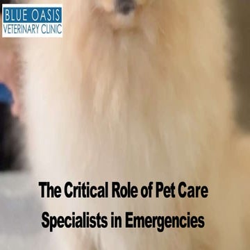The Critical Role of Pet Care Specialists in Emergencies | PPTX