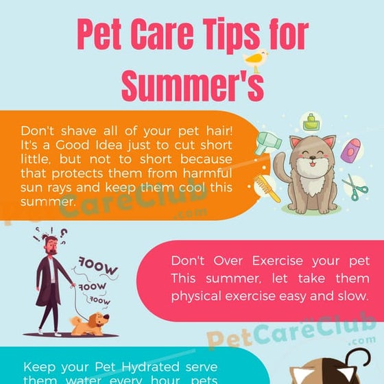 SUMMER PET SAFETY TIPS | PPTX