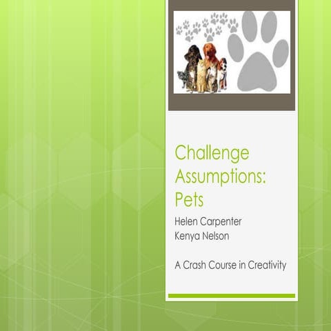 Pet challenge assumptions | PPT
