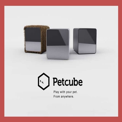 Petcube | PPTX
