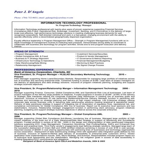 Pete D Angelo Resume 2012 | DOC