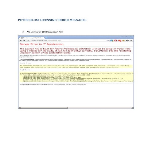 Peter blum licensing error messages | DOCX
