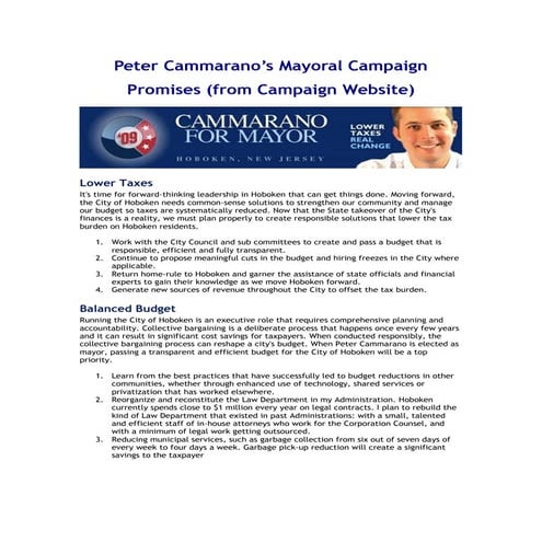 Peter Cammarano Campaign Promises | PDF