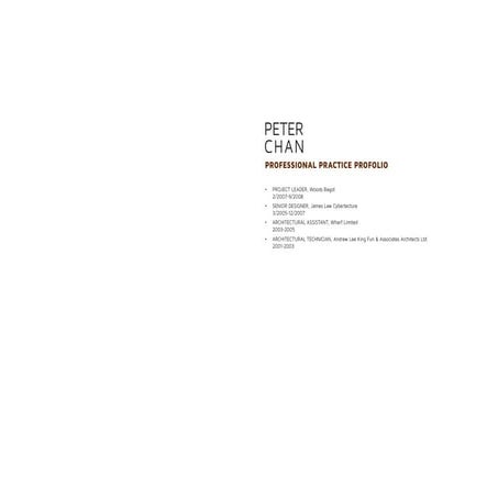 Peter chan professional-portfolio-201106 | PPT