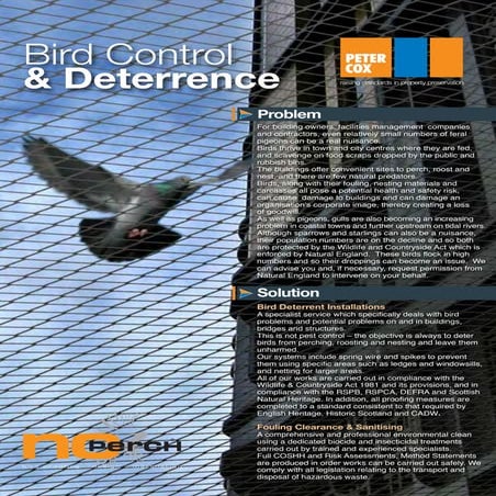 Bird Difference | PDF