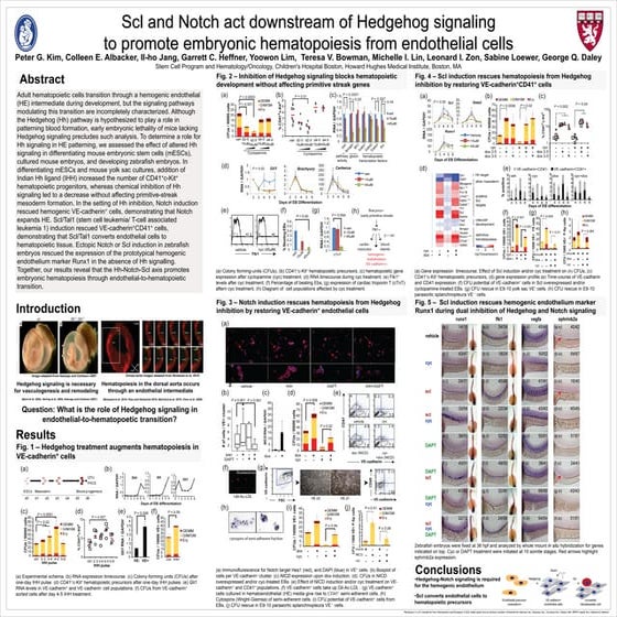 American Society Of Hematology Conference Poster 120608 | PDF