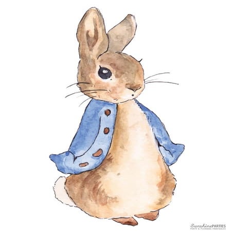 Peter rabbit | PDF