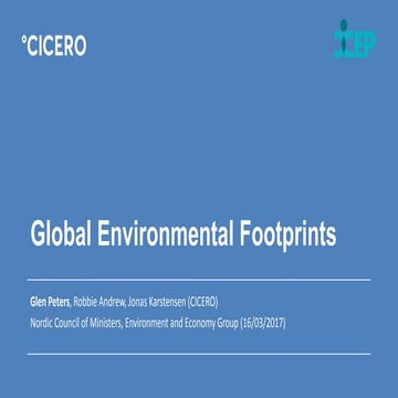 Global Environmental Footprints | PPTX
