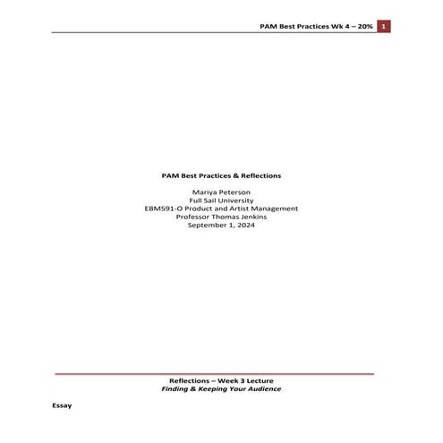 PAM Best Practices and Reflections for Product and Artist Management | PDF