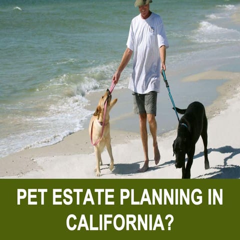 Pet Estate Planning in California? | PPT