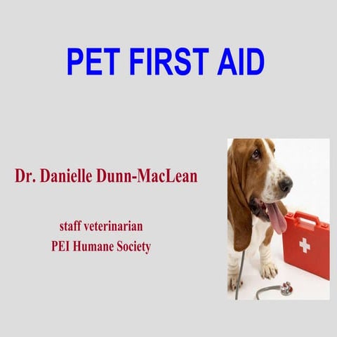 Pet First Aid | PPT