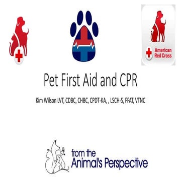 Pet first aid and cpr | PPTX