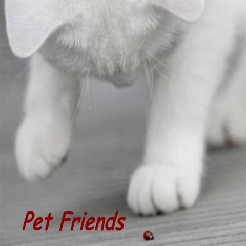 PET FRIENDS | PPTX