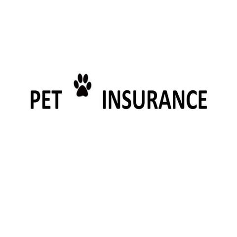 Pet insurance | PPTX