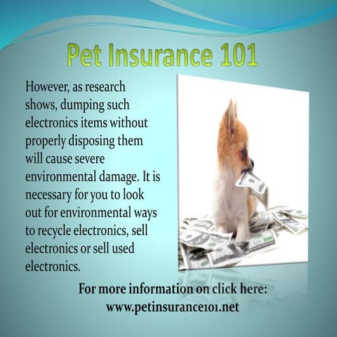 Pet insurance 101 | PPT