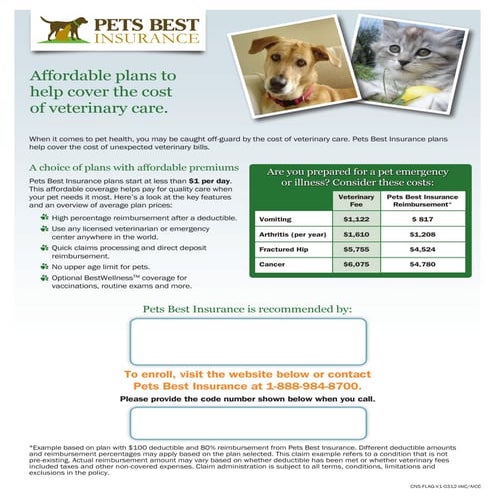 Pet Insurance Flyer | PDF