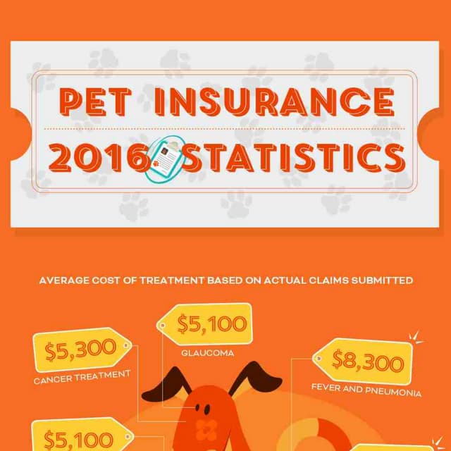 Pet Insurance Infographic | PDF