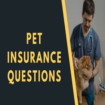 Pet Insurance Flyer | PDF