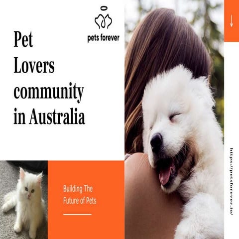 Pet lovers community in Australia | PPTX