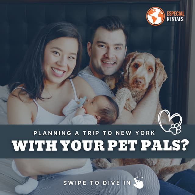 Paris vocational rental Pet pals carousel.pdf