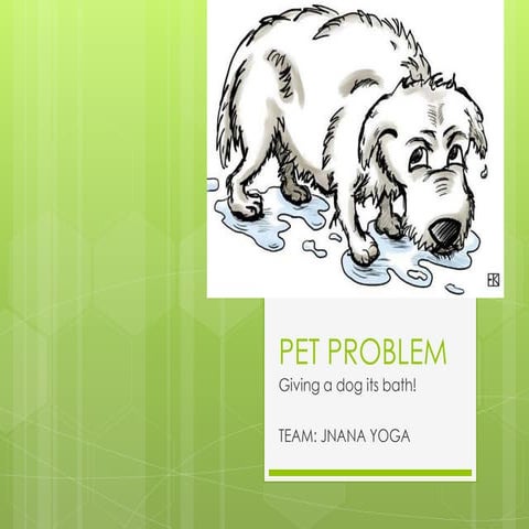 Pet problem | PPTX