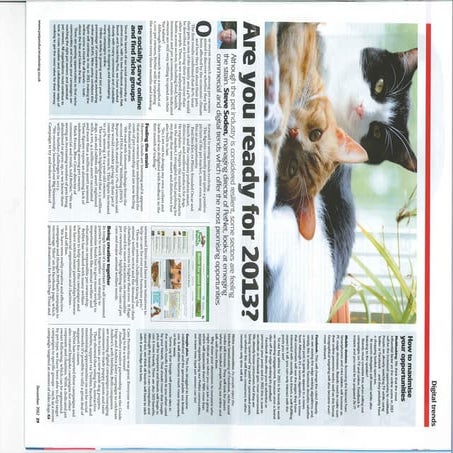 Pet Product Marketing Dec12 | PPT