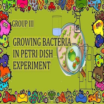 Bacteria Growing Experiments in Petri Dishes.docx