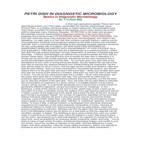 Bacteria Growing Experiments in Petri Dishes.docx