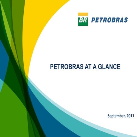 Petrobras at a glance | PDF