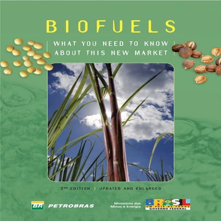 Biofuels: What You Need to Know About This New Market | PDF ...