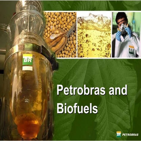 Petrobras biofuels may2007 | PDF