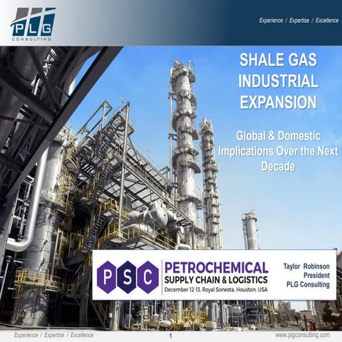 Petrochemical Supply Chain and Logistics 2017 | PDF