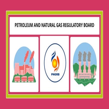 Petroleum and Natural Gas Regulatory.pptx