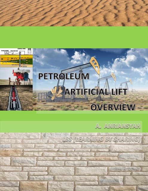 Petroleum Operations Geology - An Outline | PDF