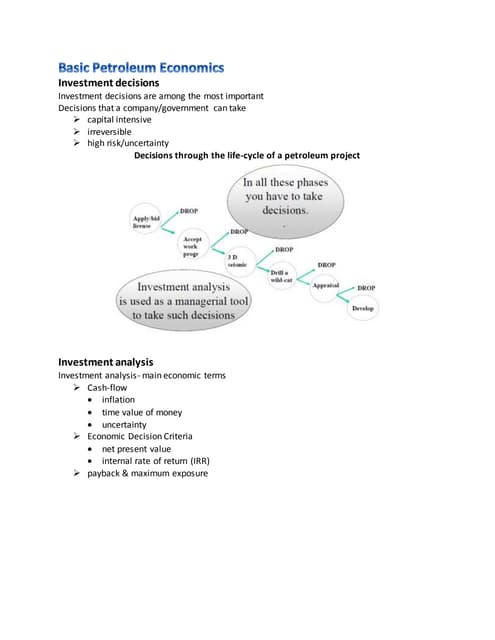 Petroleum Operations Geology - An Outline | PDF