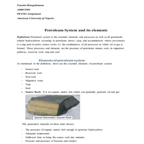 Petroleum system | DOCX