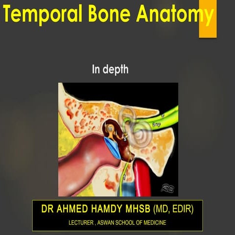 Temporal bone radiology