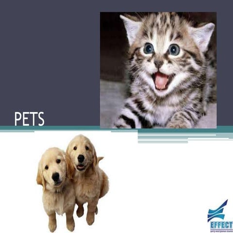 Pets | PPT