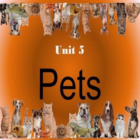Pets | PPT